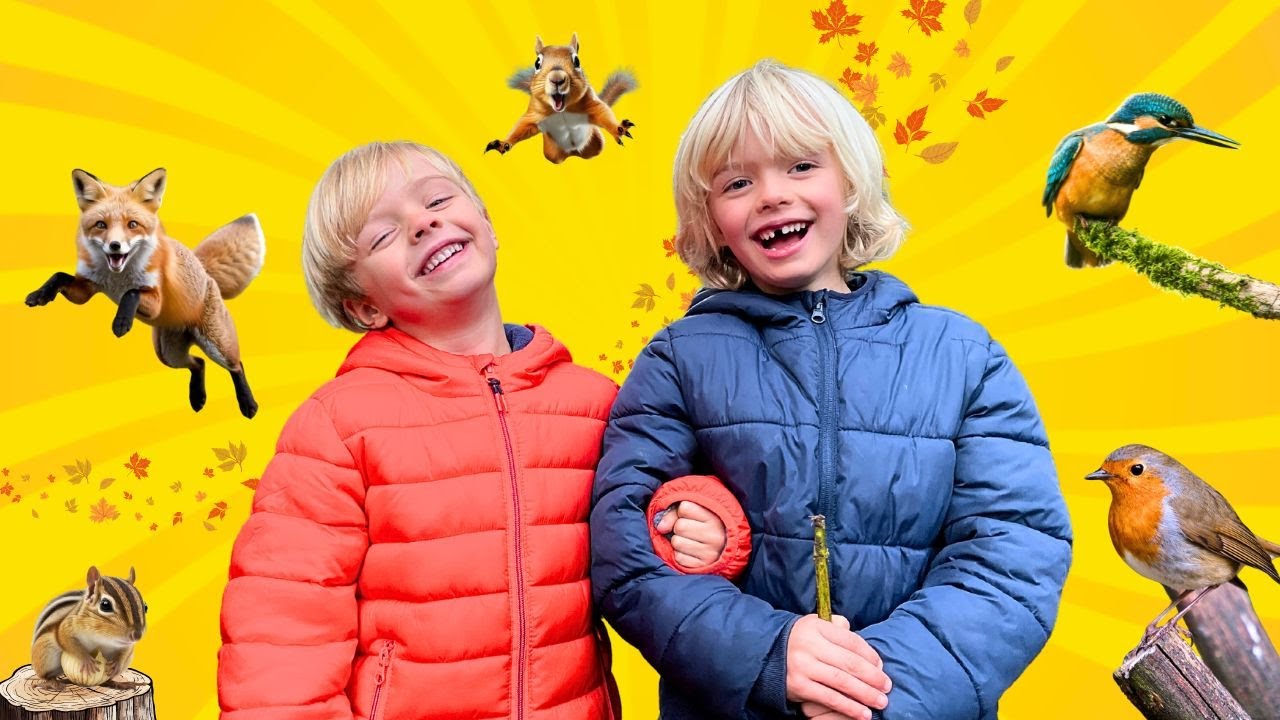 Autumn Animals: How Nature Prepares for Winter - YouTube