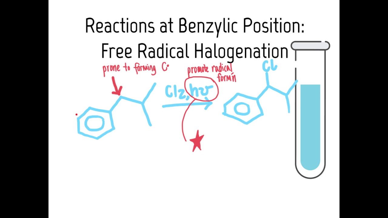 154 CHM2211 Reactions at Benzylic Position Free Radical Halogenation ...