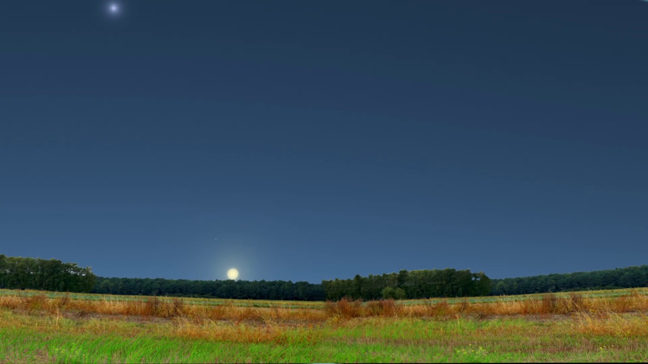 Bolek to super kolega 3 - YouTube