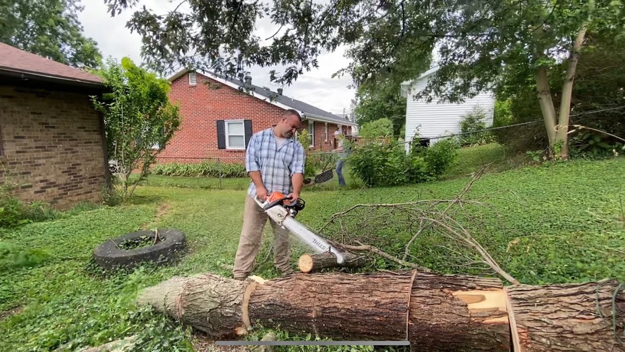 Discipline: Downed maple removal and hand splitting firewood - YouTube