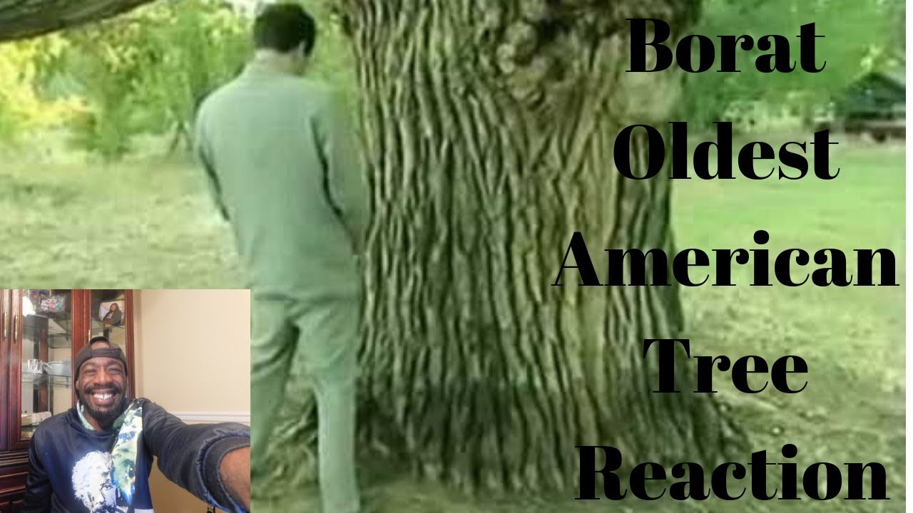 Borat Oldest American Tree REACTION - YouTube