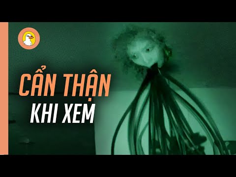 Xem Xong Bộ Phim, Hết Dám Đến Nhật Bản |Quạc Review Phim|