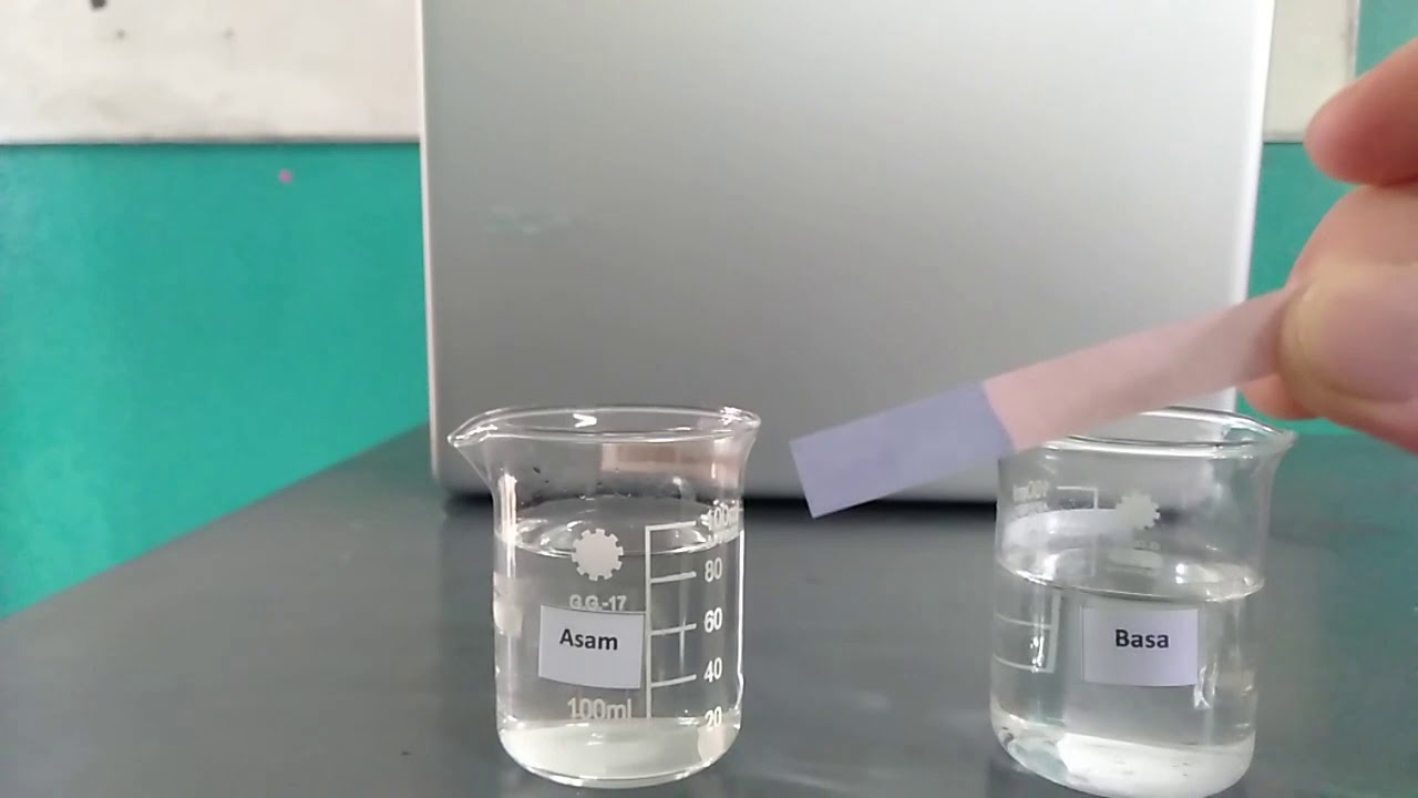 PERUBAHAN WARNA KERTAS LAKMUS DALAM LARUTAN ASAM DAN BASA - YouTube