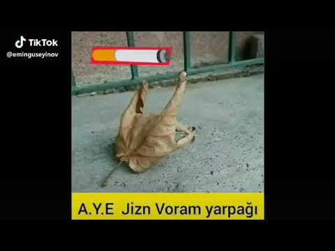 A.Y.E  Jizn Voram