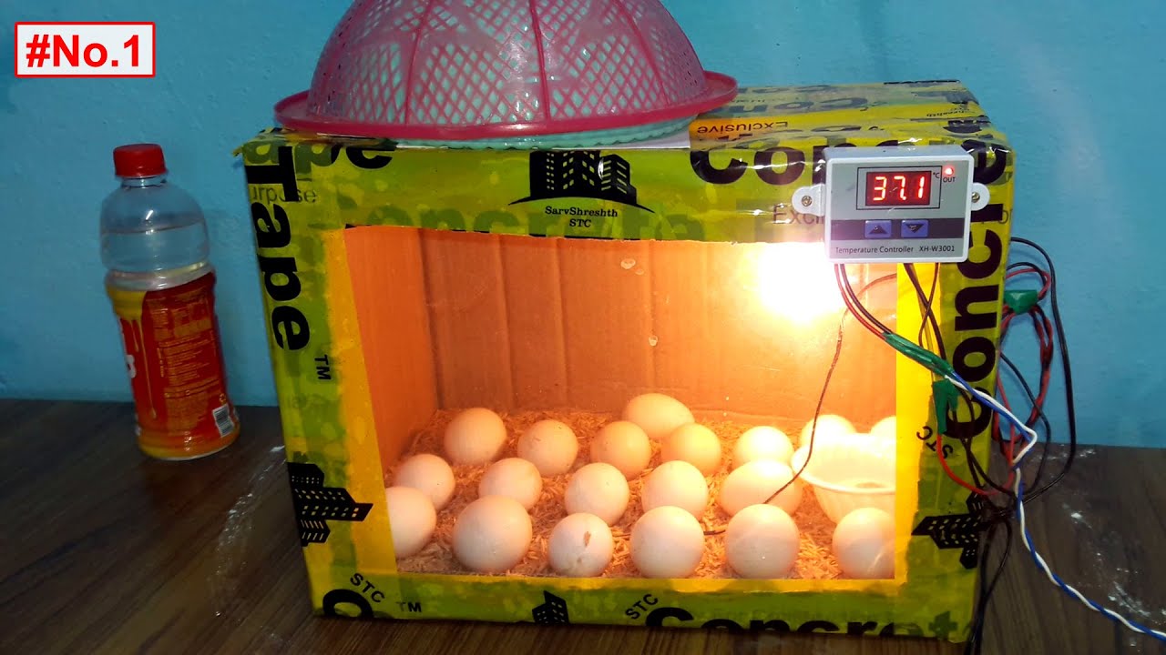 Incubator For Chicken Eggs-MAKING - YouTube