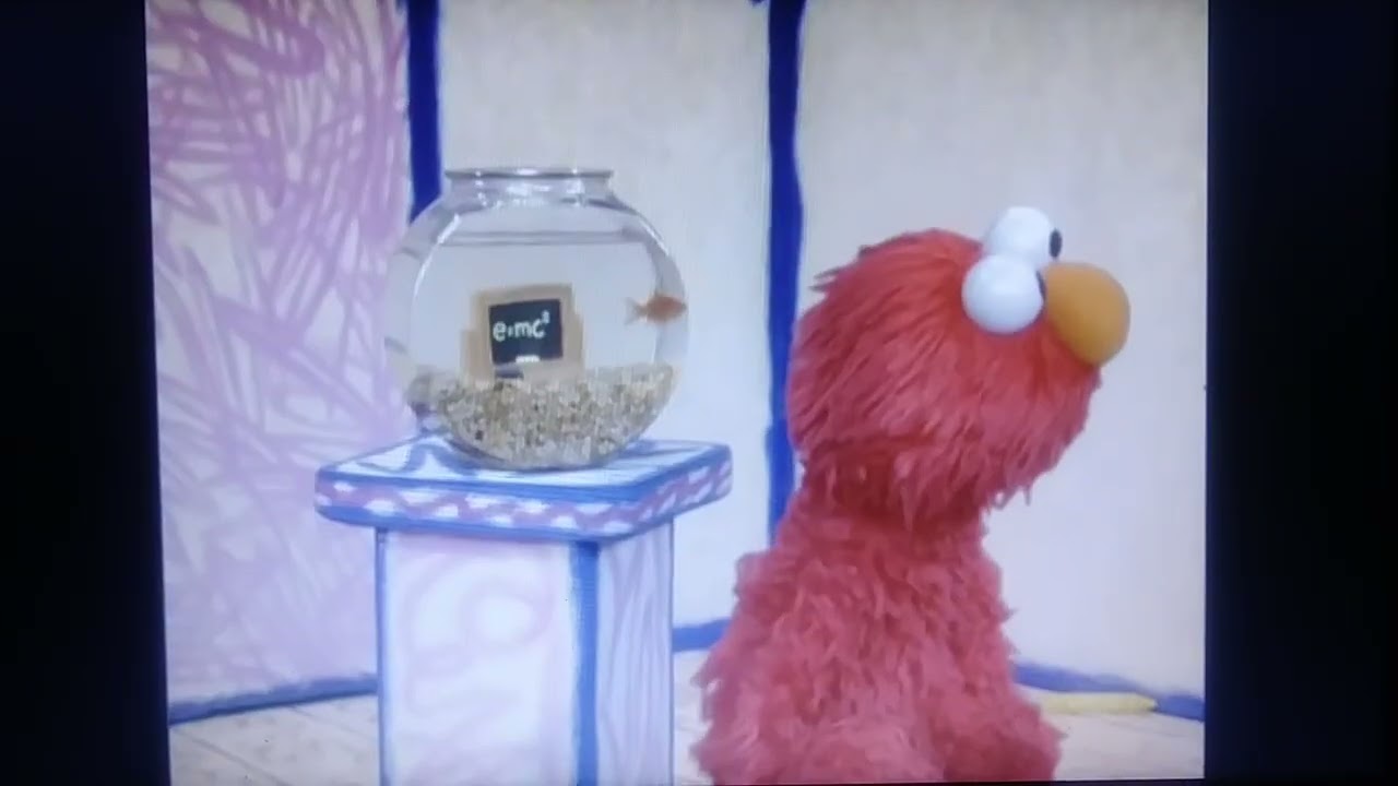 Elmo's World Dorothy's School Question - YouTube