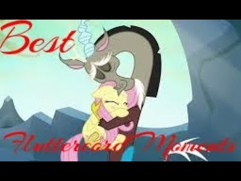 Best Fluttercord Moments (Read Desc.) - YouTube