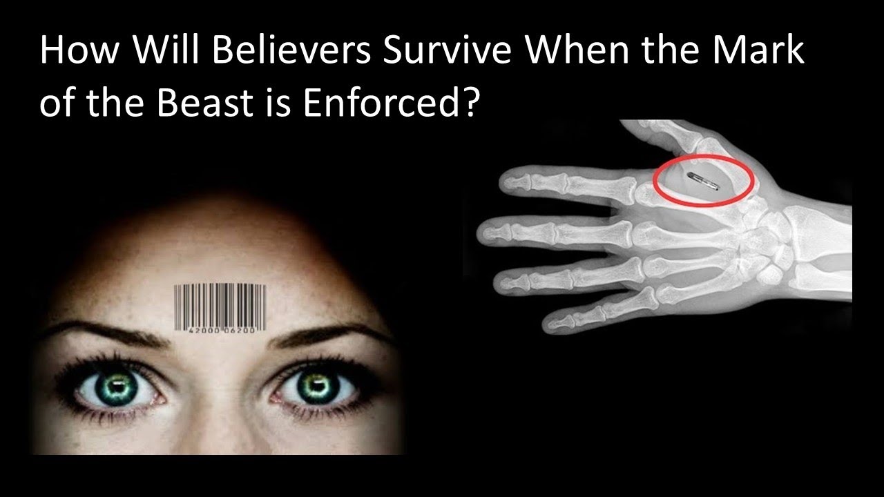How will believers survive when the Mark of the Beast is Enforced ...