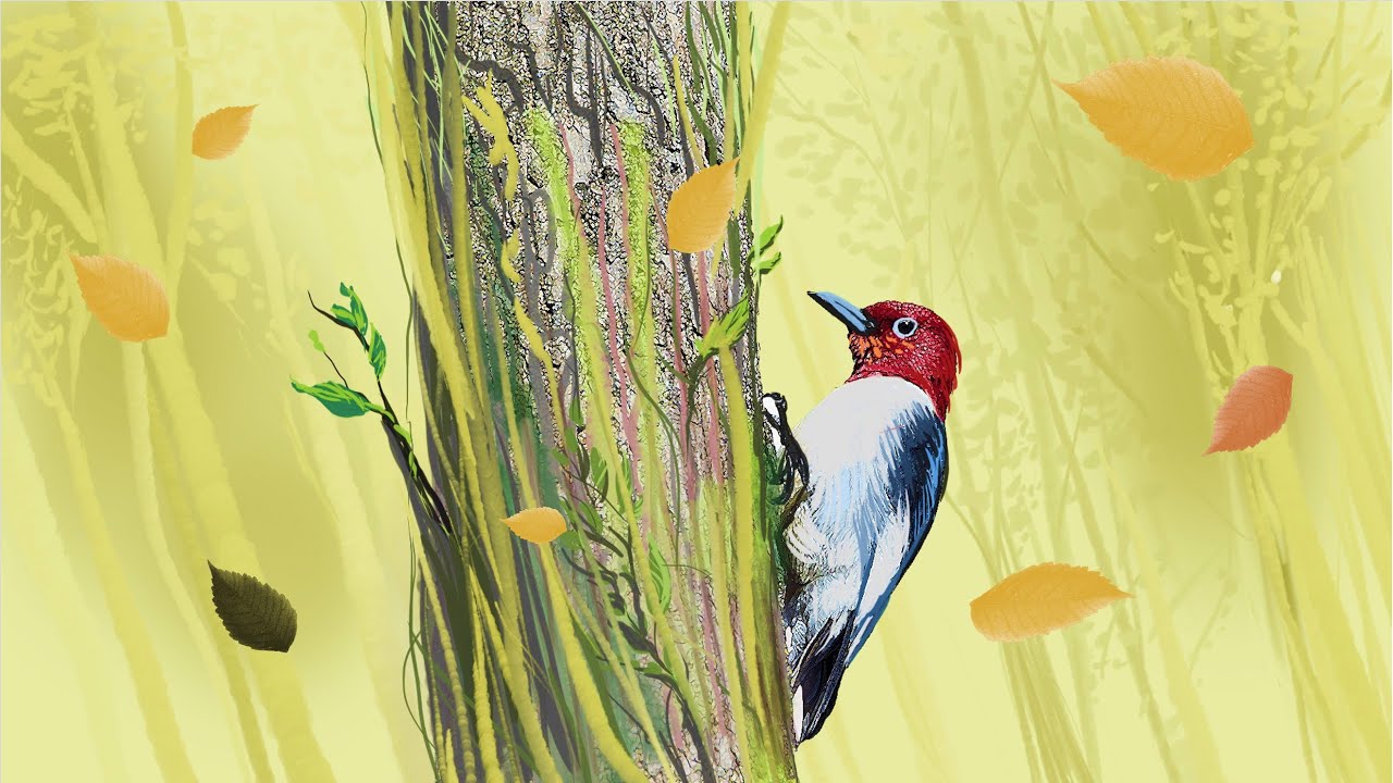 Краят на лятото 🌦🐞🦉 Детски Песнички На Български - Песничко - YouTube