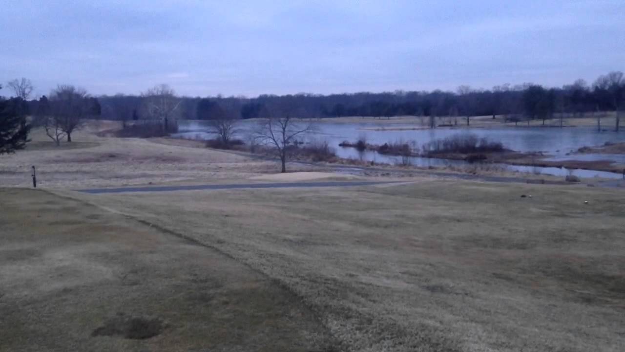 Geese Control with a Green Laser - YouTube