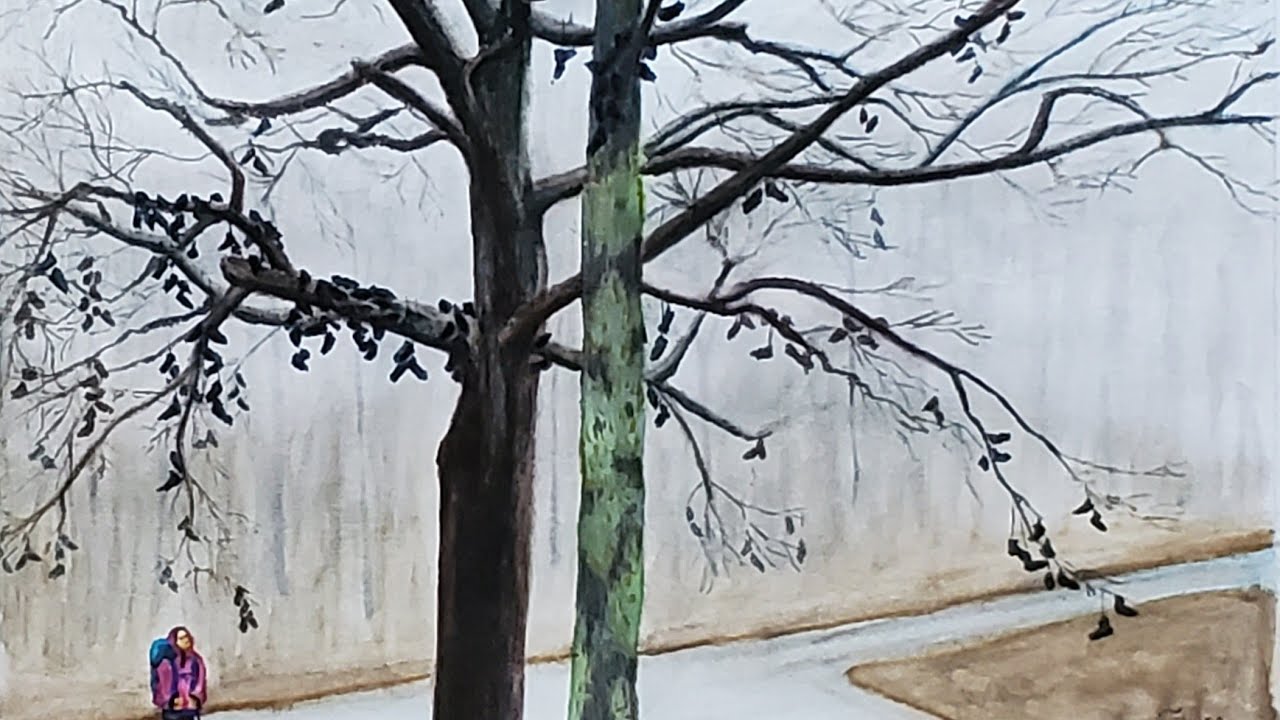 A.T. in Art: The Boot Trees at Neel Gap - YouTube