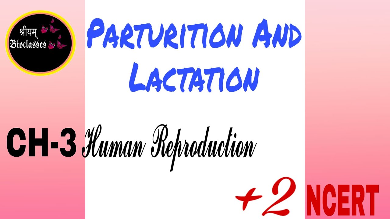 parturition and lactation class 12 ncert | parturition and lactation ...
