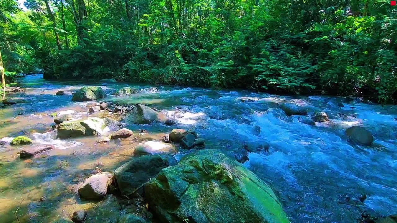 Relaxing River Sound White Noise keeps the soul calm, for studying, for ...