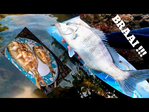 CATCHING FRESH FISH TO BRAAI (CATCH CLEAN AND COOK ) fishing for ...