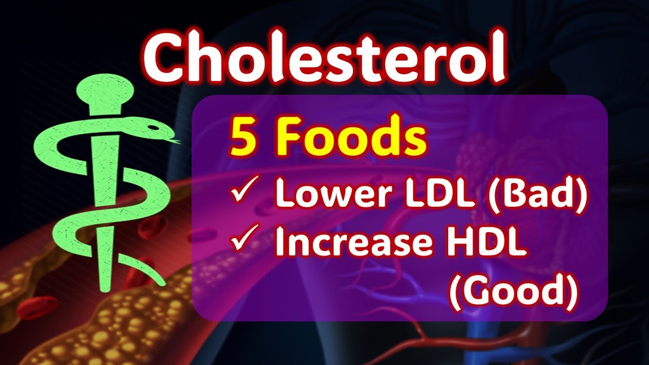Cholesterol | 5 Foods | Lower LDL (Bad) & Increase HDL (Good) - YouTube