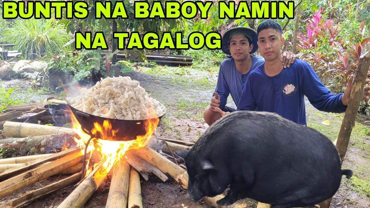 Pagkain Ng Baboy Na Buntis | Hot Sex Picture Pagkain Ng Baboy Na Buntis | Hot Sex Picture