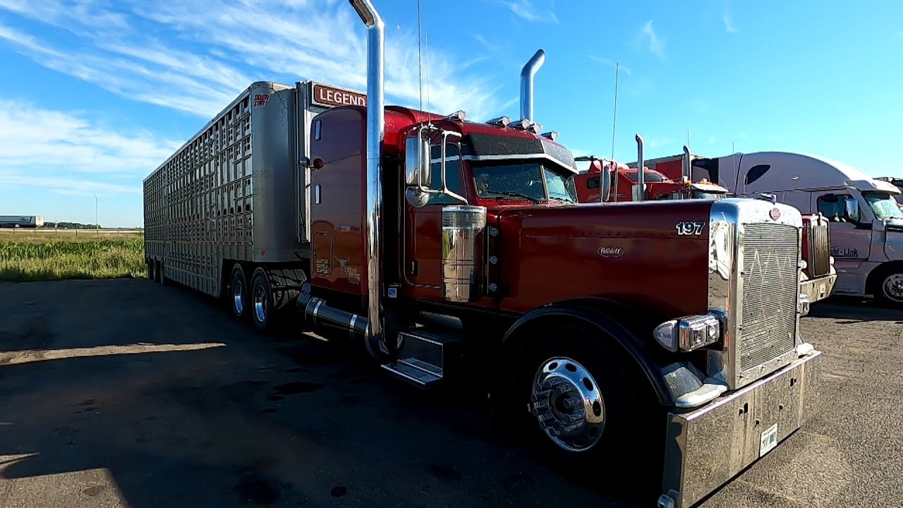 2022 Red Peterbilt 389 With Cattle Trailer Parked At Truck Stop - YouTube