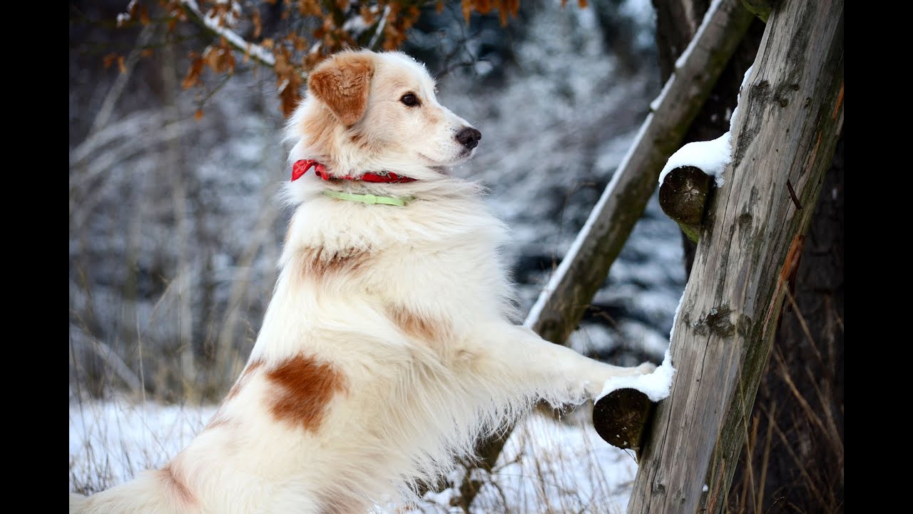 [LUCKY] winter tricks. - YouTube