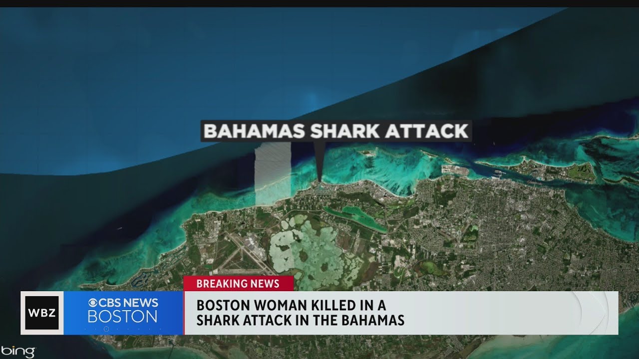 Boston woman killed in shark attack in the Bahamas - YouTube