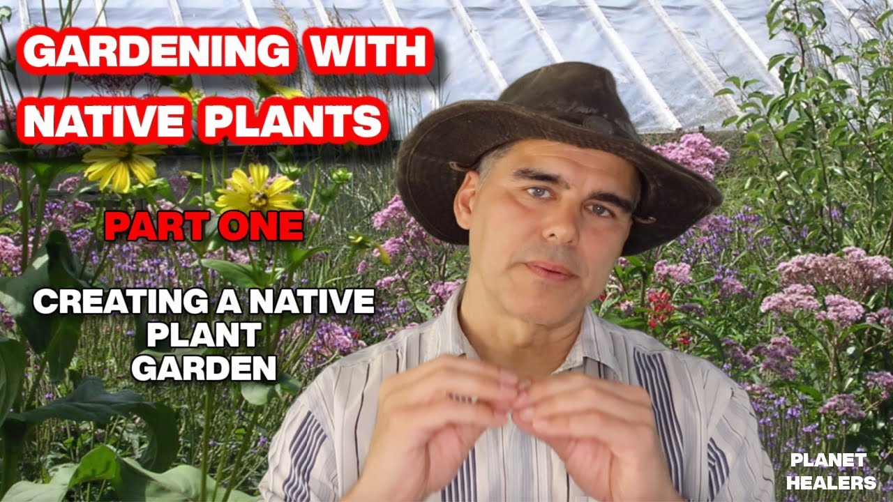 Gardening with Native Plants | Part 1: Creating a Native Plant Garden ...