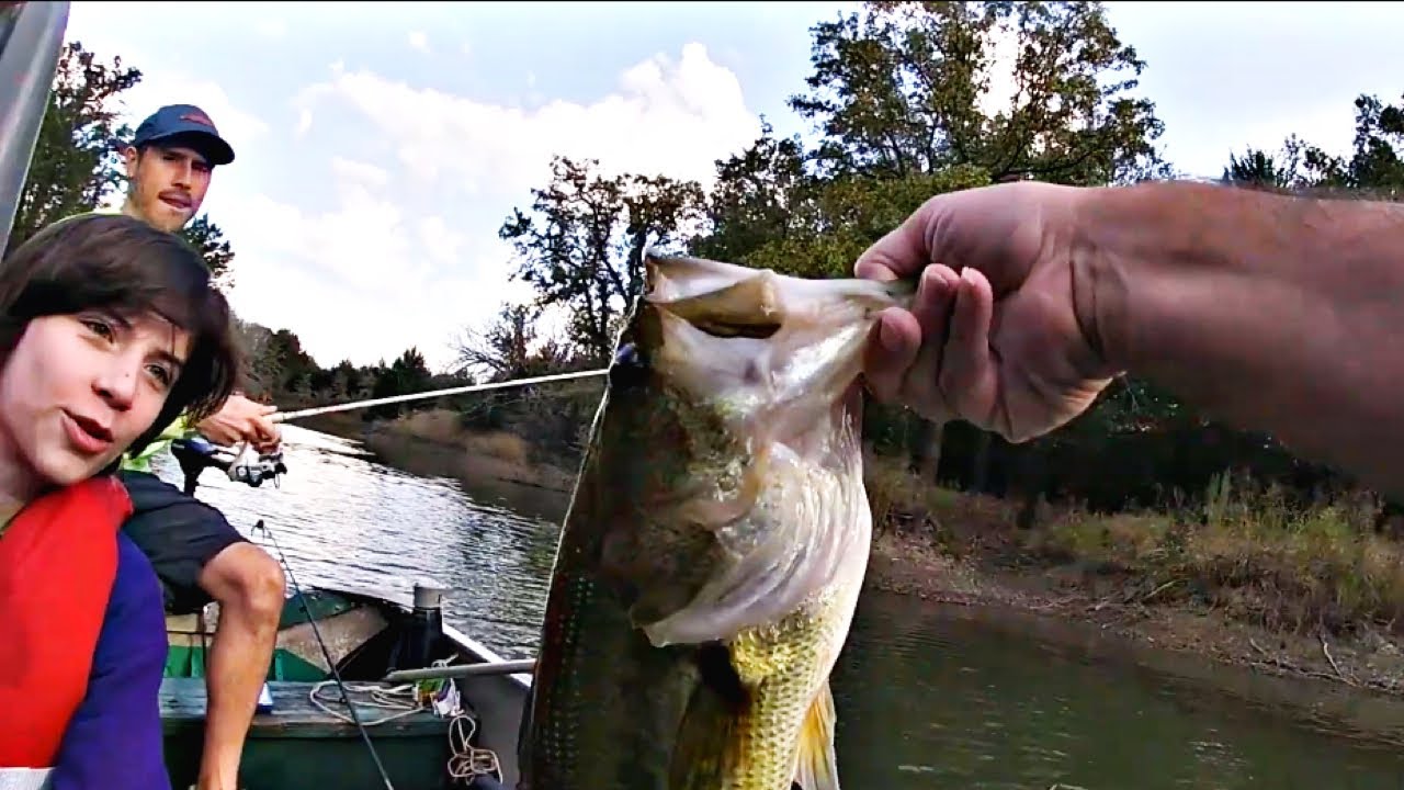 Small Creek Fishing with Ned Rigs for Backwoods Bass | BEST Day Ever ...