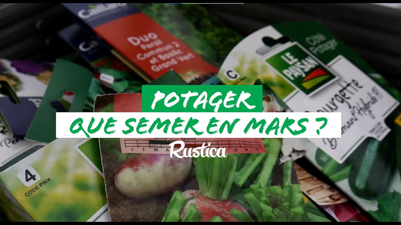 Les semis au potager en mars - YouTube