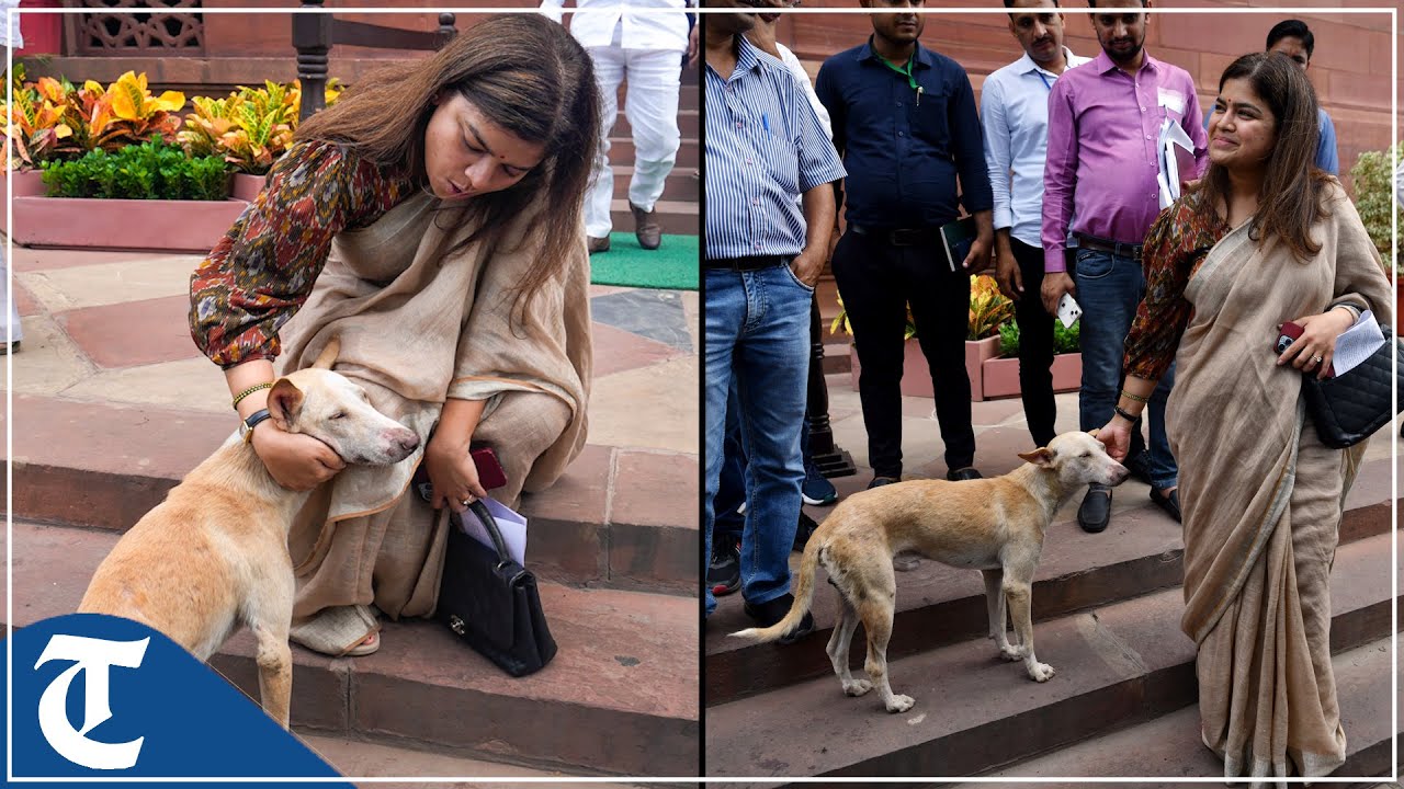 BJP MP Poonam Mahajan caresses dog at Parliament complex, adorable ...
