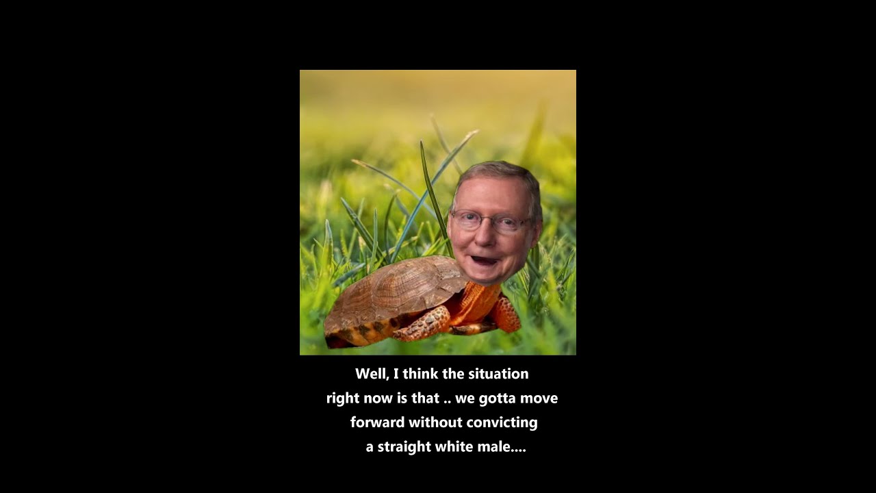 Interview with Turtle Mitch McConnell - YouTube