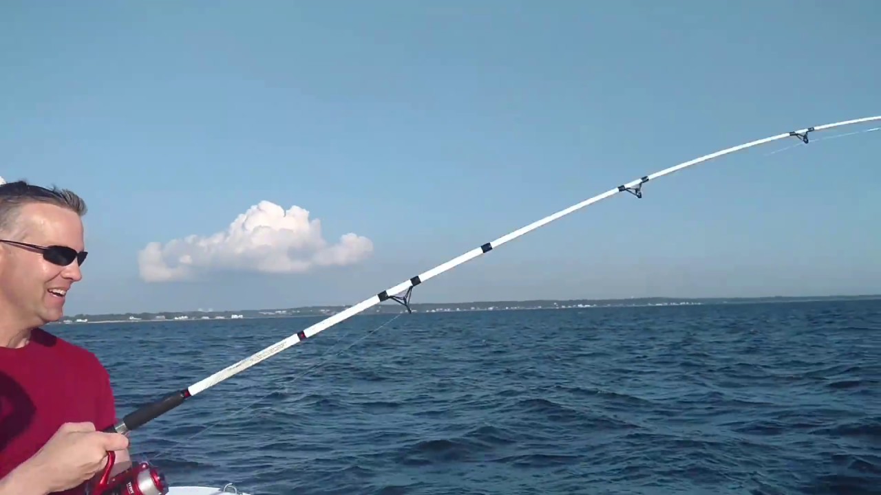 Bluefish Blitz Narragansett Bay 9/16/17 - YouTube