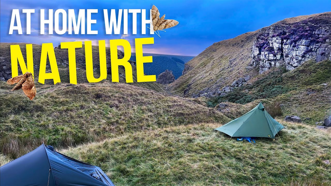 Swarm of Moths Enjoy my Tent | At Home with Nature | Peak District Wild ...