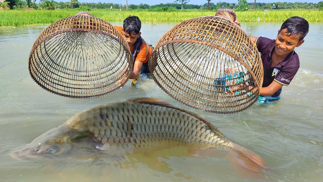 Amazing Fish Hunting Video | Traditional Boys Catch Fish With Bamboo ...