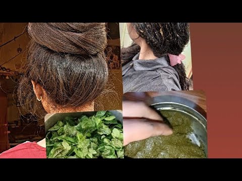 hare pate🌿 bali mehndi kese lagaye balo💆 me #longhair #hair #hairstyle ...