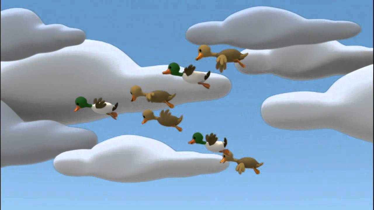 Musti 3D - The Stubborn Bird - YouTube