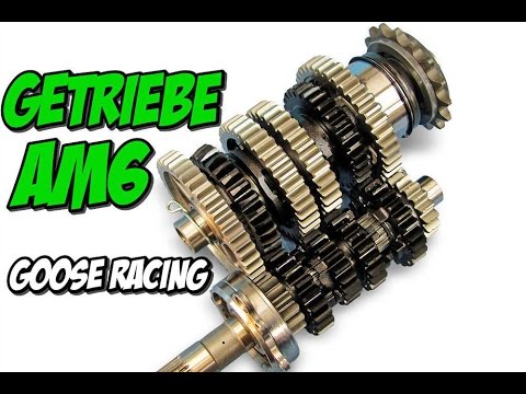 AM6 Getriebe zusammenbauen // by Goose Racing