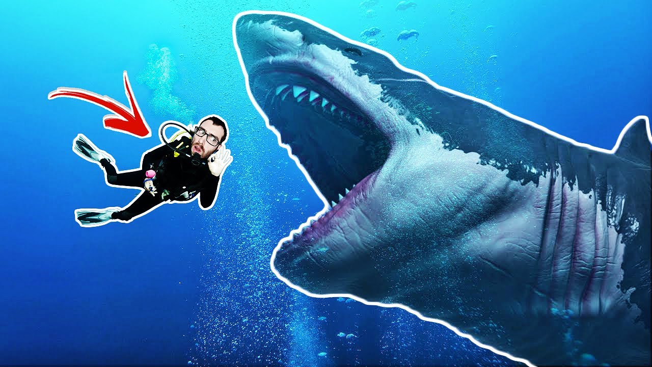 THE OCEAN IS TERRIFYING | Death In The Water 2 - YouTube