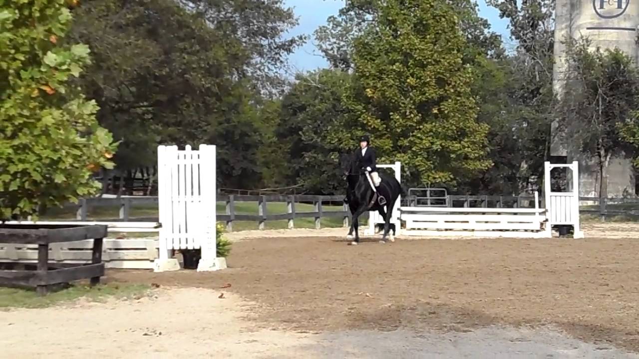 10 12 2013 Mod Hunter Over Fences #2 - YouTube