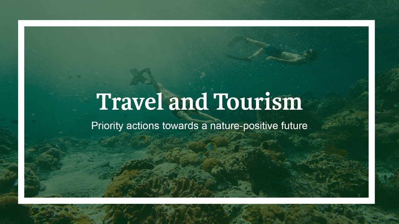How the Travel & Tourism sector can contribute towards a nature ...