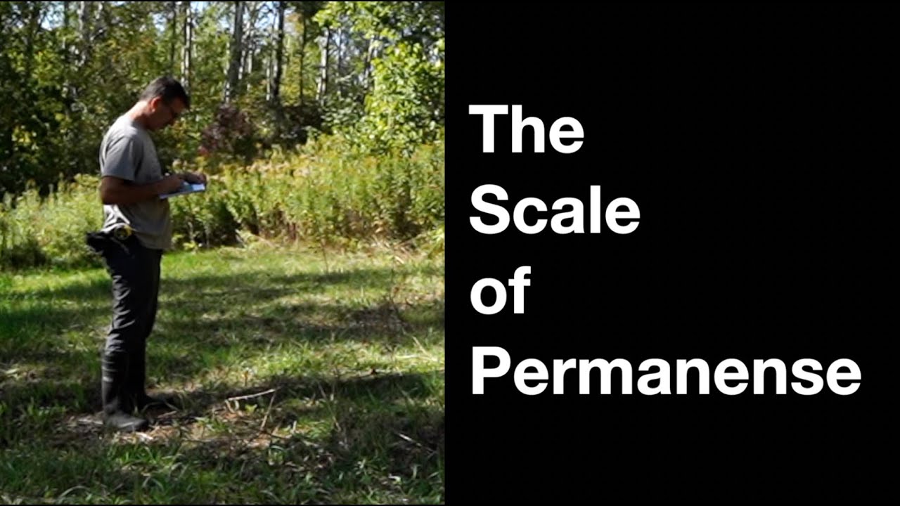The Scale of Permanence: BAVlog#3 - YouTube