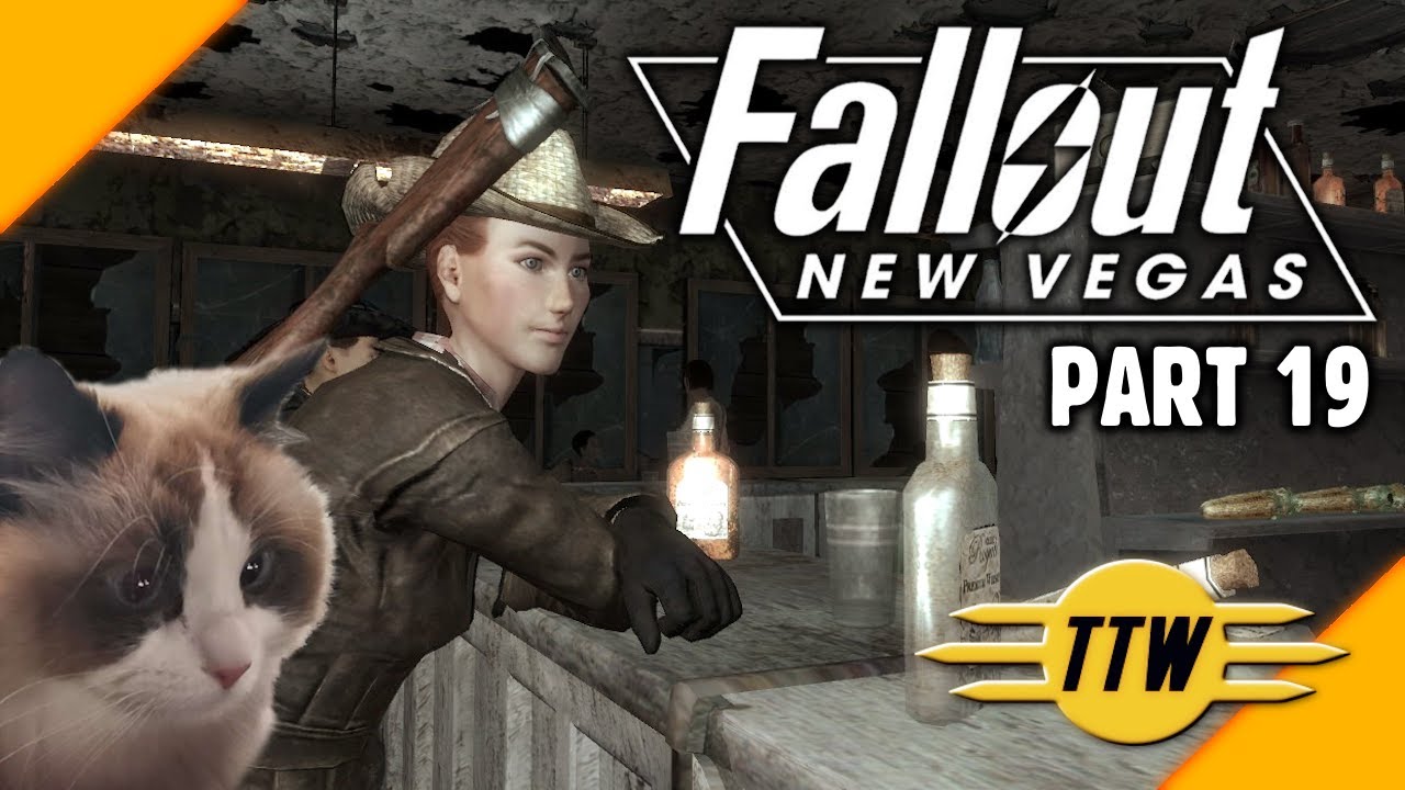 WE'RE BACK! | FALLOUT: 'A Tale of Two Cat' Lore & Cat Stream (Part Cat ...