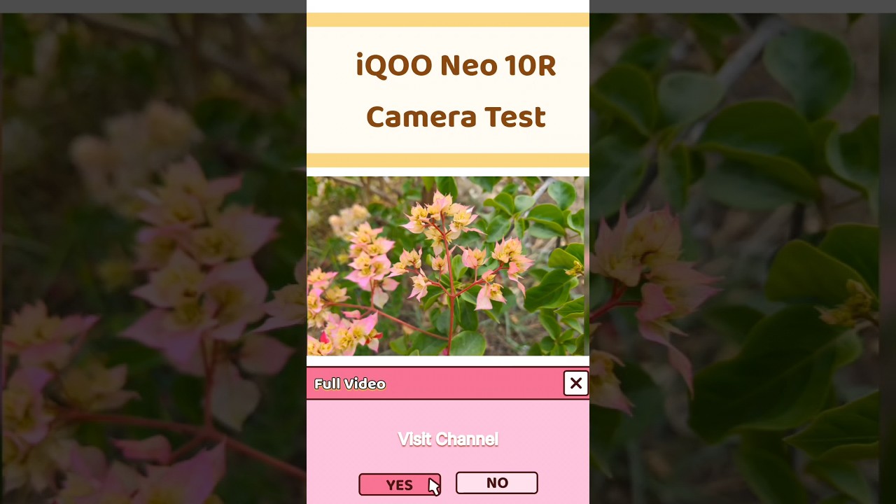 iQOO Neo 10R Camera Test | camera quality review - YouTube