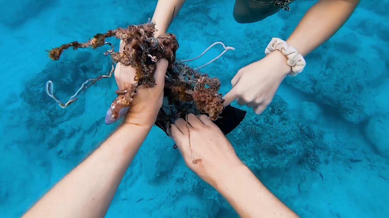 divers clean 20 lbs of trash off the reef! - YouTube