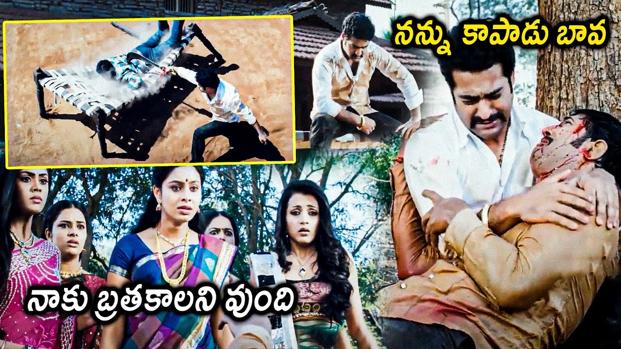 Dhammu Movie Trisha And Abhinaya Crying Scene | N. T. Rama Rao Jr ...