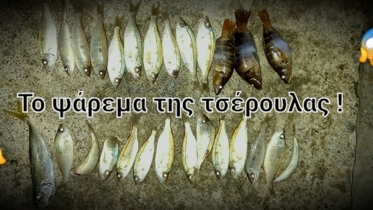 Το ψάρεμα της τσέρουλας!!!🎣 - YouTube