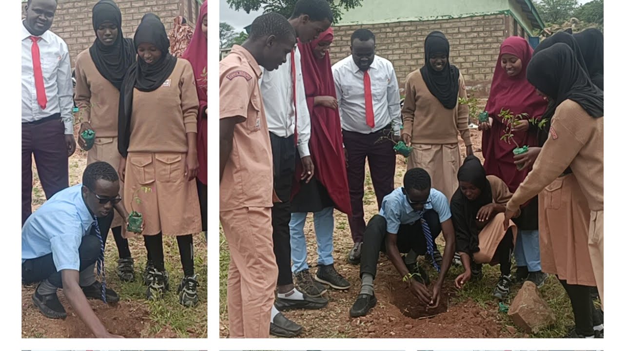 BUTIYE MIXED DAY SCH CELEBRATE WORLD ENVIRONMENT DAY 2023 WITH OTHER ...