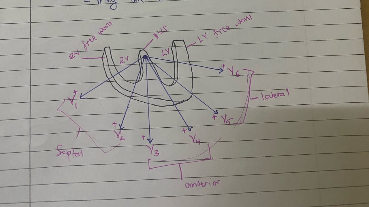 BASIC CONCEPTS IN ECG INTERPRETATION: ECG mastery series: Part 2 - YouTube