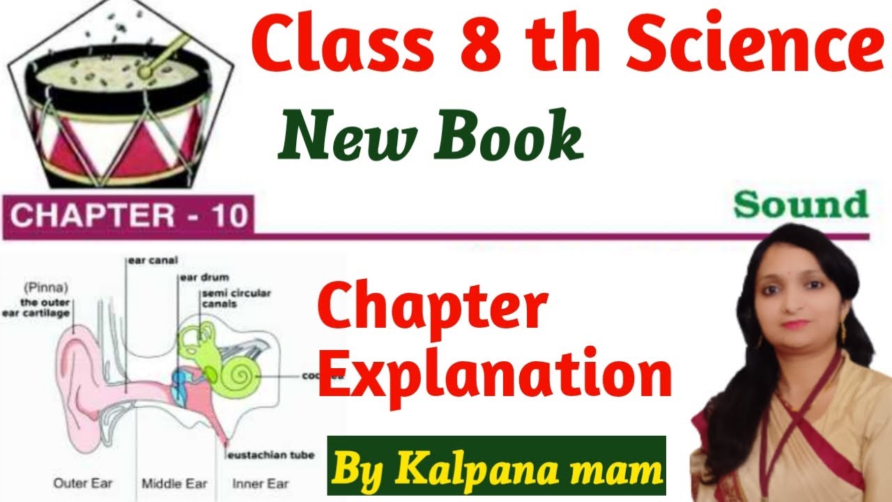 Pseb Class 8 Science Chapter 10 Sound ll Full chapter Explanation ll ...