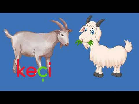 ( Ç, B, G, C, Ş) 4. GRUP HARLER  Ç HARFİ TANIMA YAZMA ÇALIŞMASI