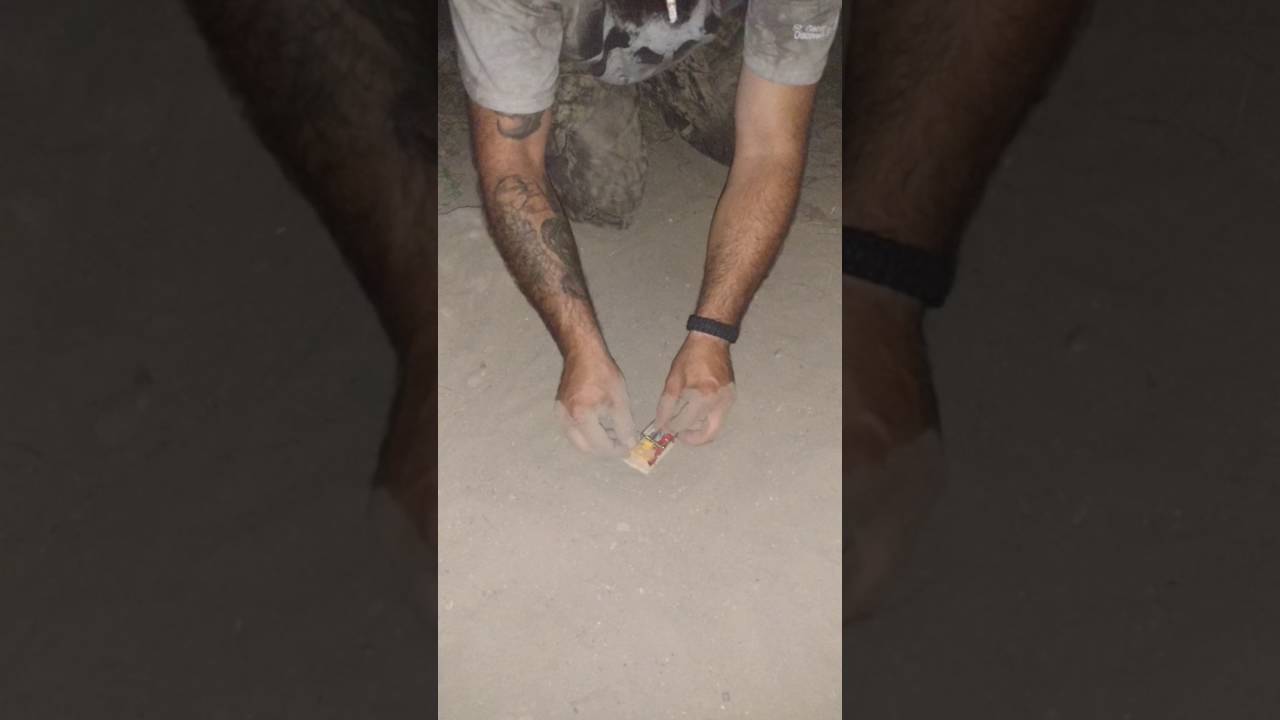 How to set a Bever trap with a mouse trap. REDNECK STYLE! - YouTube