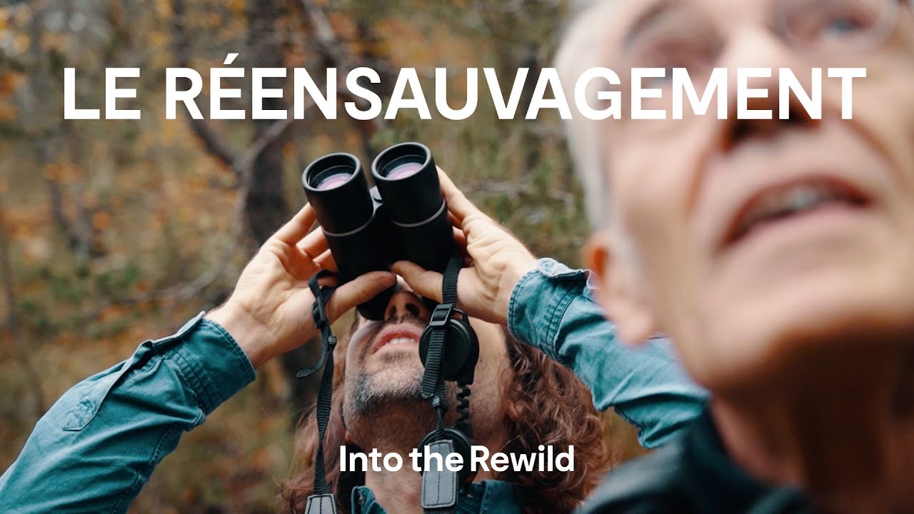 Le réensauvagement, avec George Monbiot | Into the Rewild - YouTube