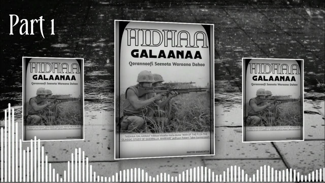 Hidhaa Galaanaa_ Audio Book_part 1 a book by Kaayyoo Waragoo - YouTube